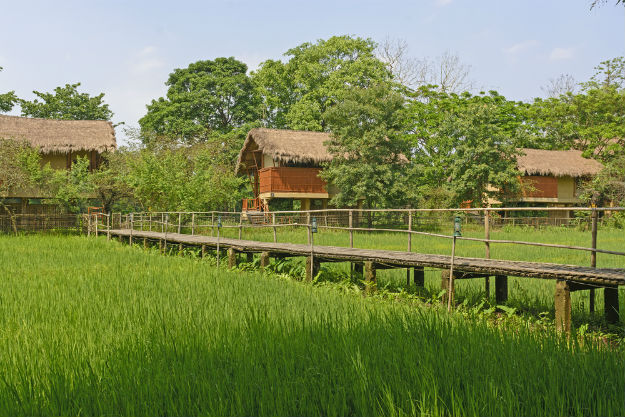 Assam Images: Beautiful Photos of The Lovely Northeastern State | India.com