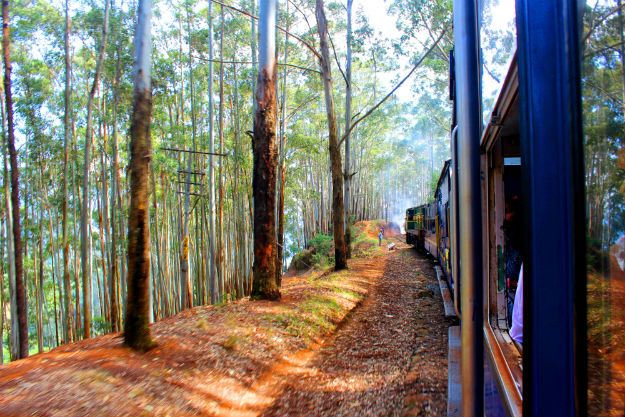 These Coonoor Images Will Sweep You Off Your Feet And Make You Dream of ...