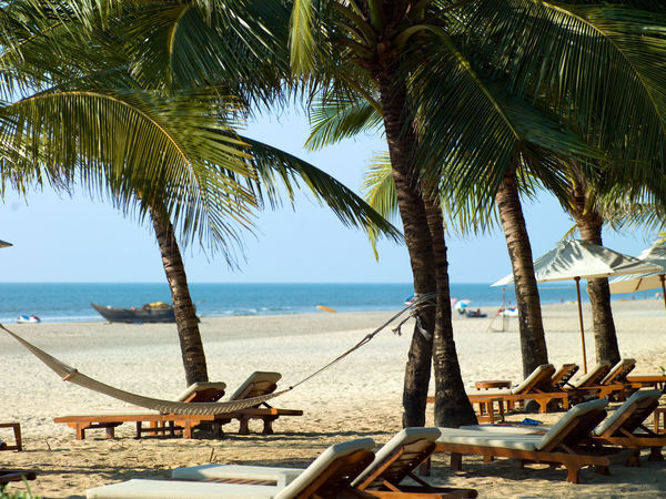 Shade under palm trees at the Palolem beach in Goa - Goa: Photos of Goa ...