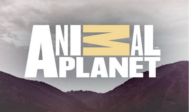 Animal Planet : Latest News, Videos and Photos on Animal Planet - India ...