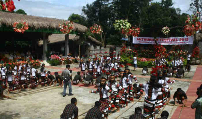 Anthurium festival, Mizoram Bamboo Day begin October 1 | India News ...