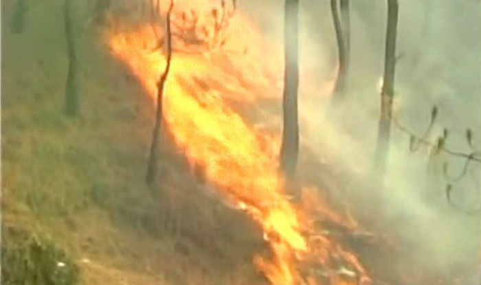 Forest fires ravage 3,000 hectares in Himachal Pradesh | India News ...