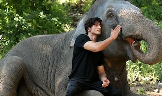 Junglee : Latest News, Videos and Photos on Junglee - India.Com News
