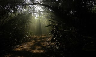 Chintamani : Latest News, Videos and Photos on Chintamani - India.Com News