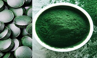 Spirulina News in Hindi, Latest Spirulina News | India.Com News