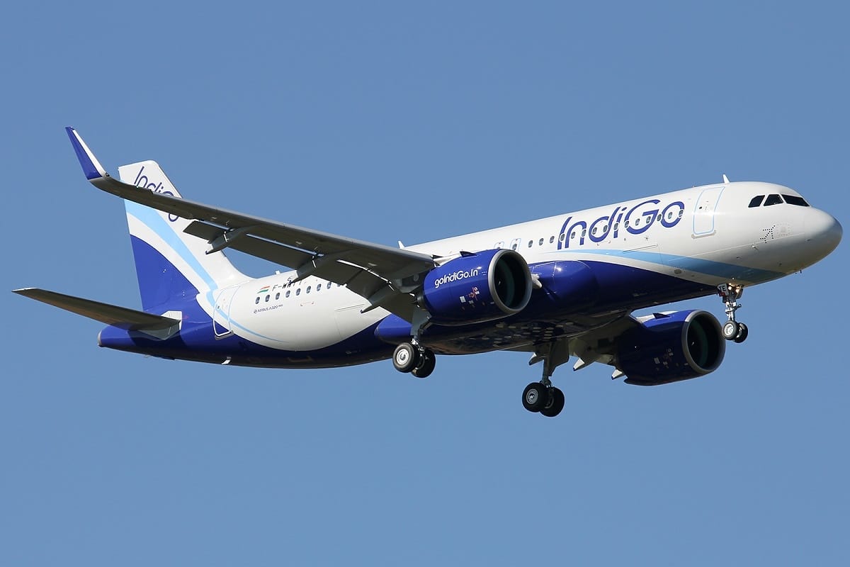 Indigo Plane Model