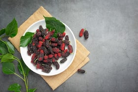 Mulberry News in Hindi, Latest Mulberry News | India.Com News