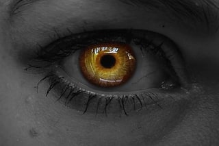 Evil Eye Remedies News in Hindi, Latest Evil Eye Remedies News | India ...