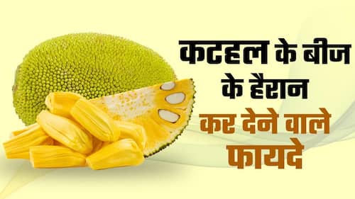 Jackfruit Seeds Videos: Latest News & Viral Clips | Jackfruit Seeds की ...
