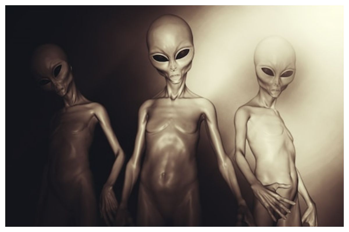 The Signal 2022 Alien