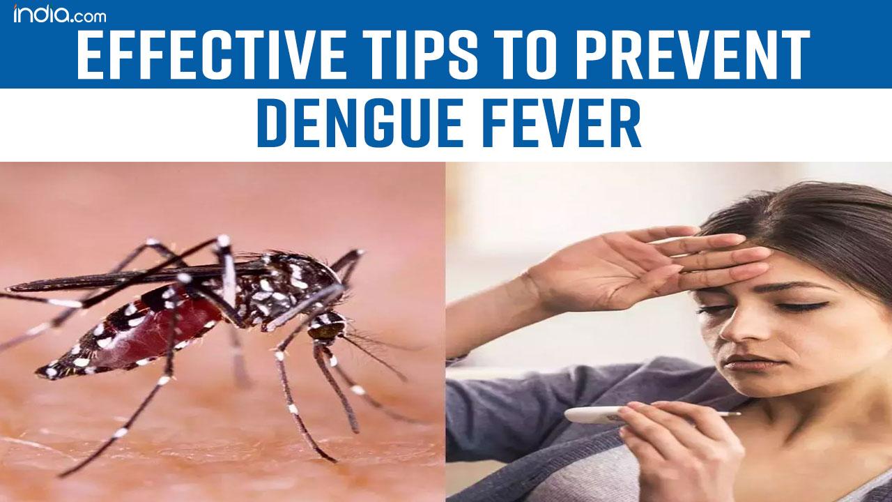 Dengue : Latest News, Videos and Photos on Dengue - India.Com News
