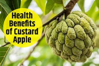 Benefits Of Sitaphal Fruit : Latest News, Videos and Photos on Benefits ...