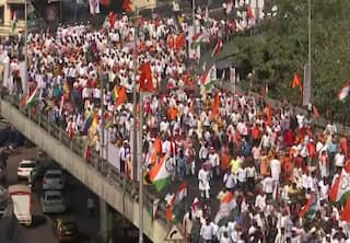 Maafi Mango : Latest News, Videos and Photos on Maafi Mango - India.Com ...