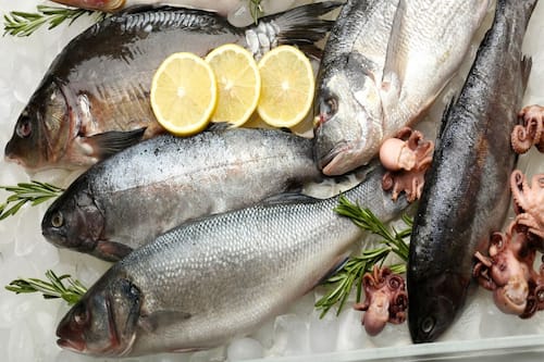 Fish Curry Photos: Latest News, Trending Topics, Images & Pics | Fish ...