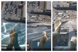 Swimming Pool : Latest News, Videos and Photos on Swimming Pool - India ...