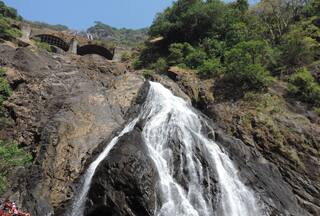Dudhsagar : Latest News, Videos and Photos on Dudhsagar - India.Com News