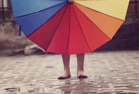 Foot Care : Latest News, Videos and Photos on Foot Care - India.Com News