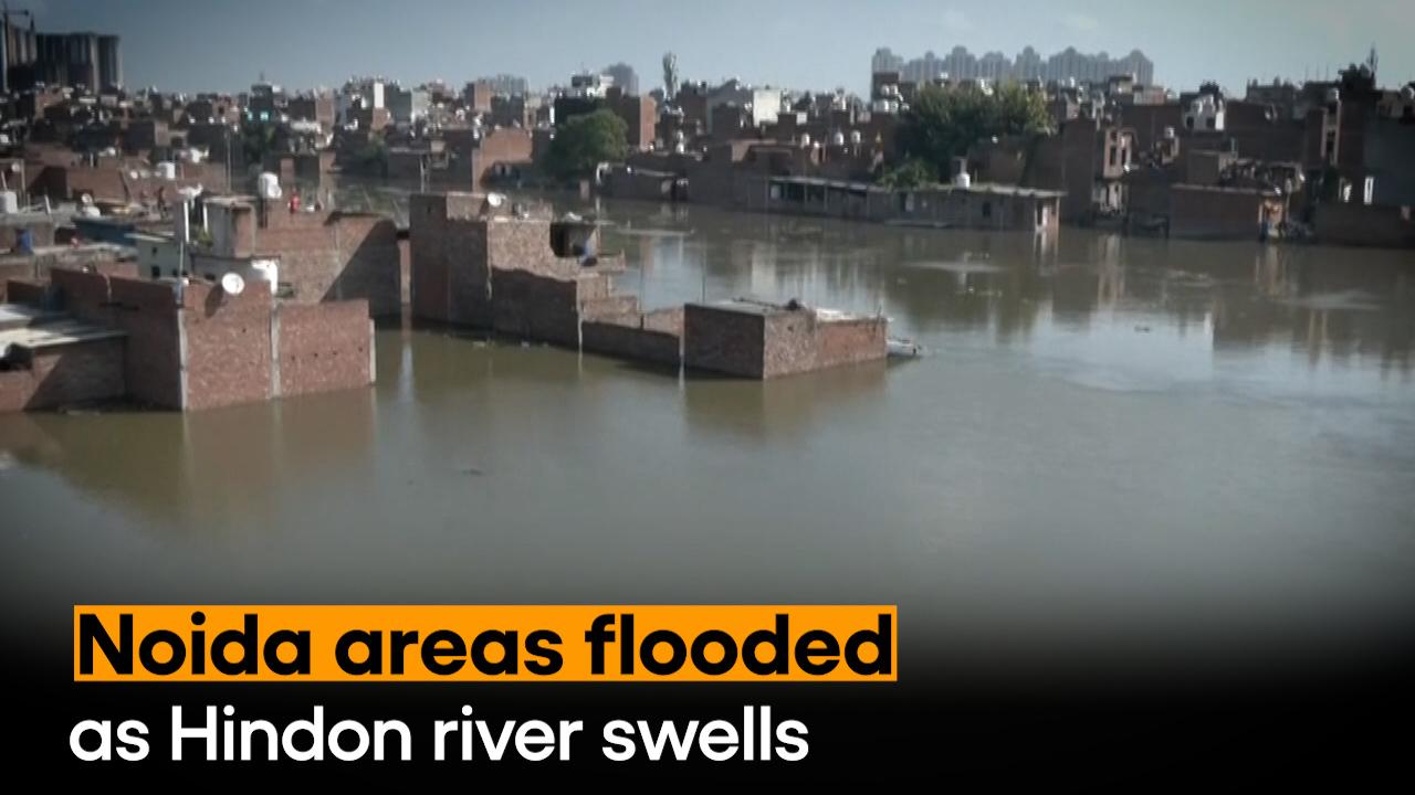 Noida : Latest News, Videos and Photos on Noida - India.Com News