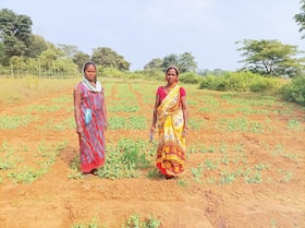 Mariyam Tudu : Latest News, Videos and Photos on Mariyam Tudu - India ...