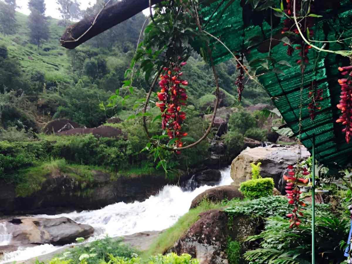 Eravikulam National Park To Tata Tea Museum: 5 Best Places To Visit In ...