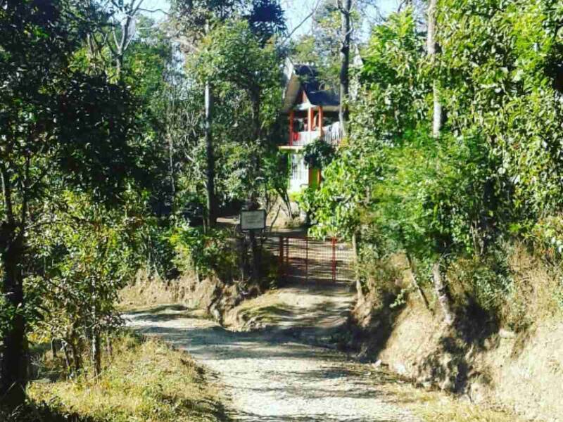 Dzukou Valley To Kohima State Museum: 5 Best Places To Visit In Kohima