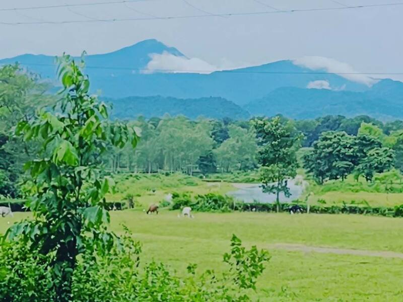 Mahananda Wildlife Sanctuary To Hong Kong Market: 5 Best Places To ...