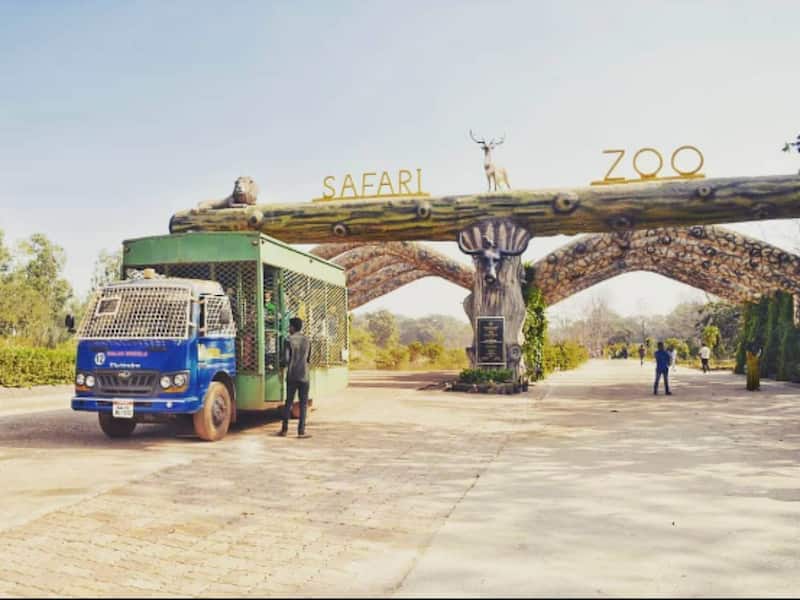 Mahant Ghasidas Museum To Purkhauti Muktangan: 5 Best Places To Visit ...