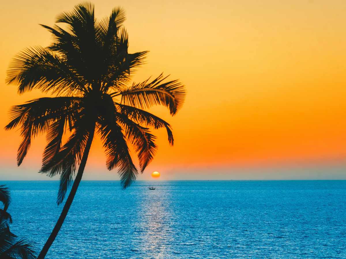 Goa Travel Guide: 9 Insider Tips for an Unforgettable Vacation Experience