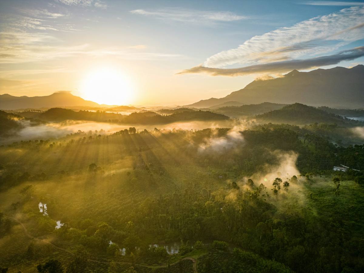 Discover 6 Must-Do Activities That Define Kollam