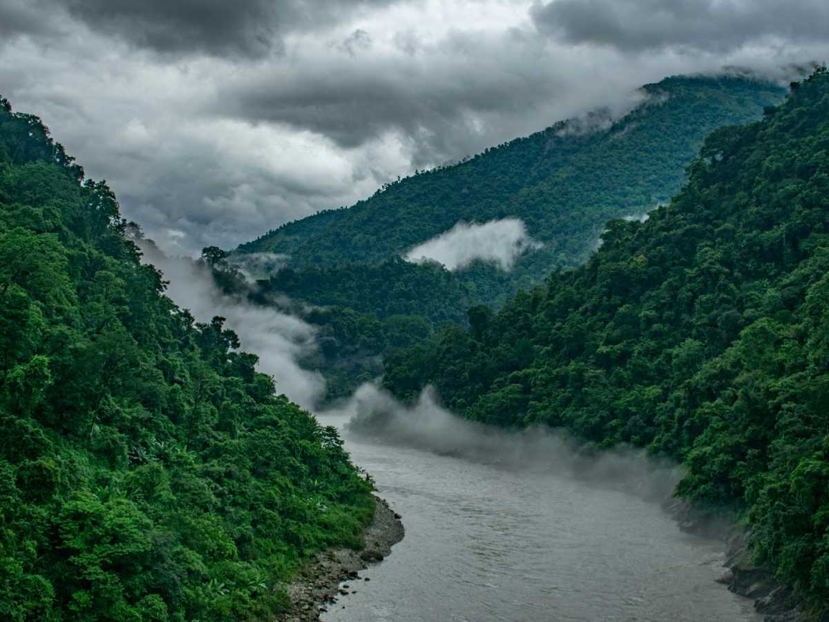 Discover The Top 7 Must-Do Activities In Siliguri You Cant Miss