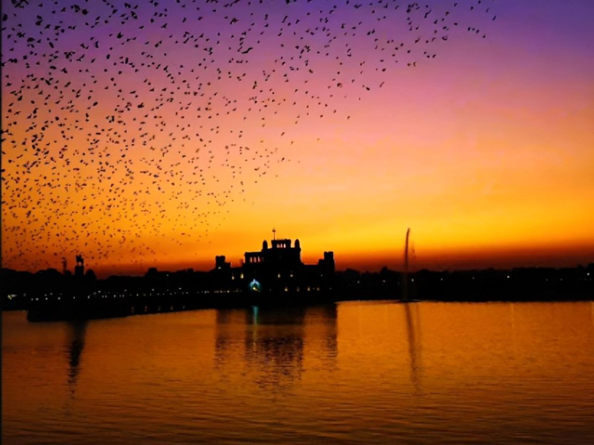 Lakhota Lake To Pirotan Island: 5 Best Places To Visit In Jamnagar