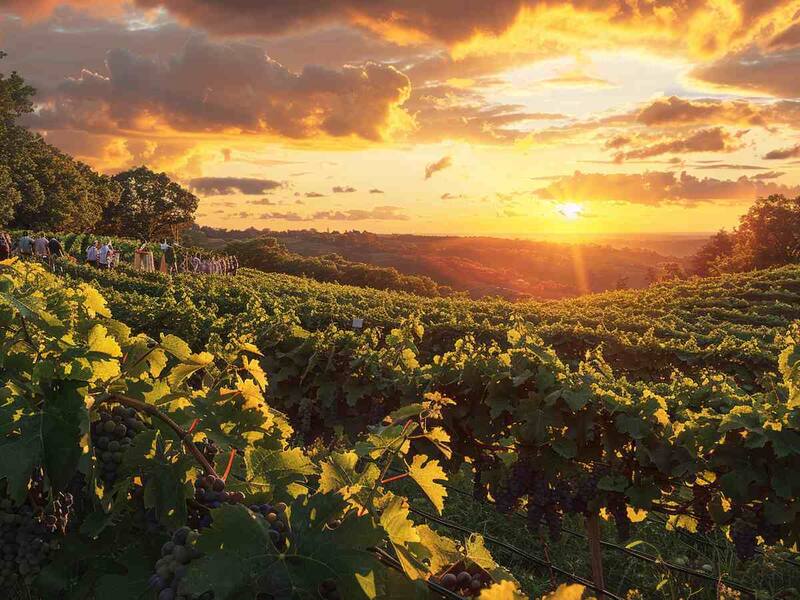 Explore The Beauty Of Nashik: A City Among The Hills In Maharashtra