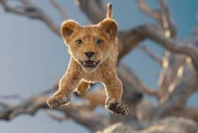 Mufasa : Latest News, Videos and Photos on Mufasa - India.Com News