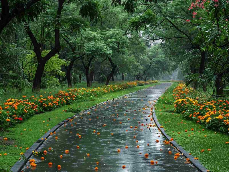 7 Enchanting Monsoon Destinations In Palampur You Cant Miss