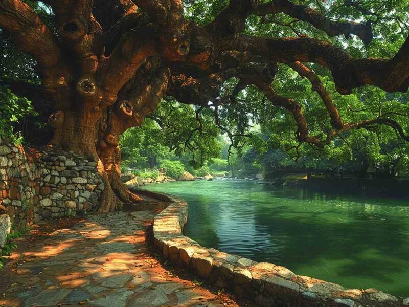 Witness The Beauty of Bengaluru -Top 6 Rivers That Will Capture Your Heart!