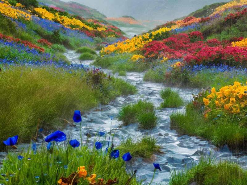 Valley Of Flowers To Tungnath Temple: 7 Places To Visit During Monsoon ...