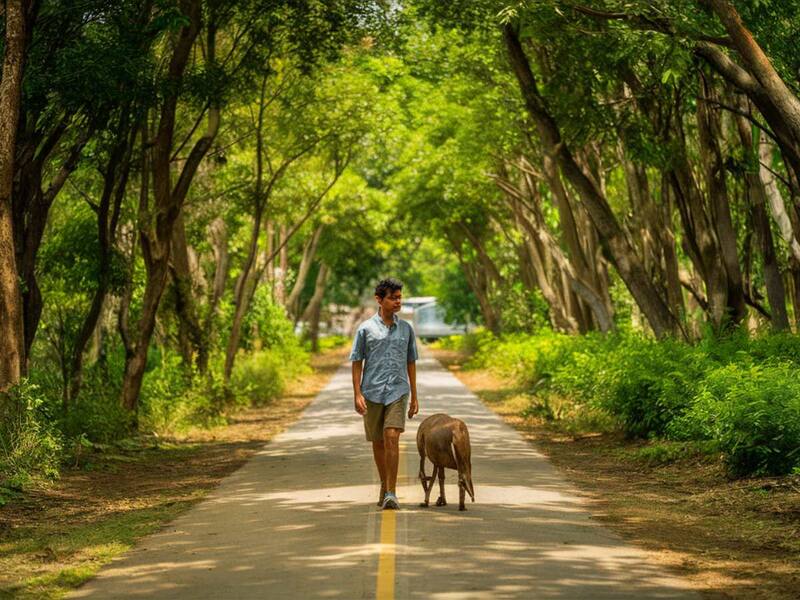 Discover Hidden Gems In Vellore For An Unforgettable Tourist Experience