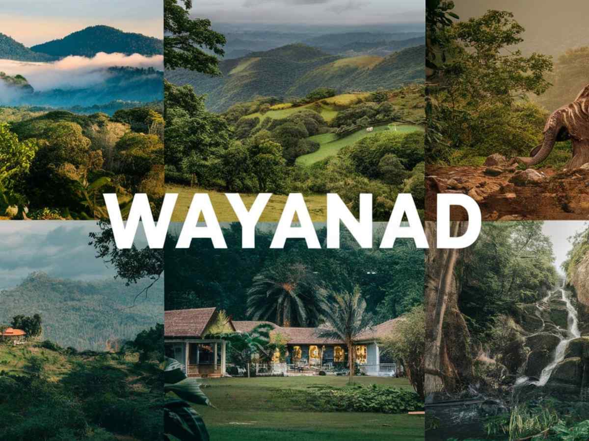 Experience The Magic Of Wayanad: A Blissful Retreat In Keralas Lush ...