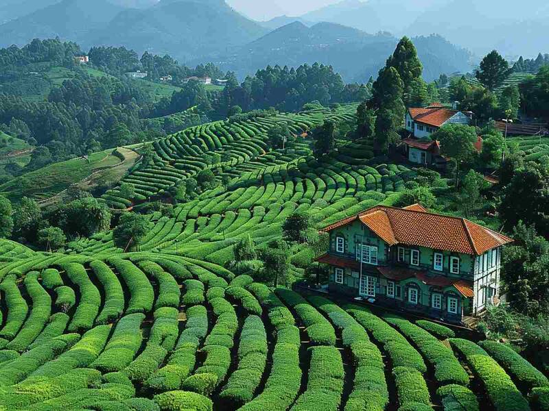 Step Back In Time With Top 5 Historical Places To Visit In Ooty