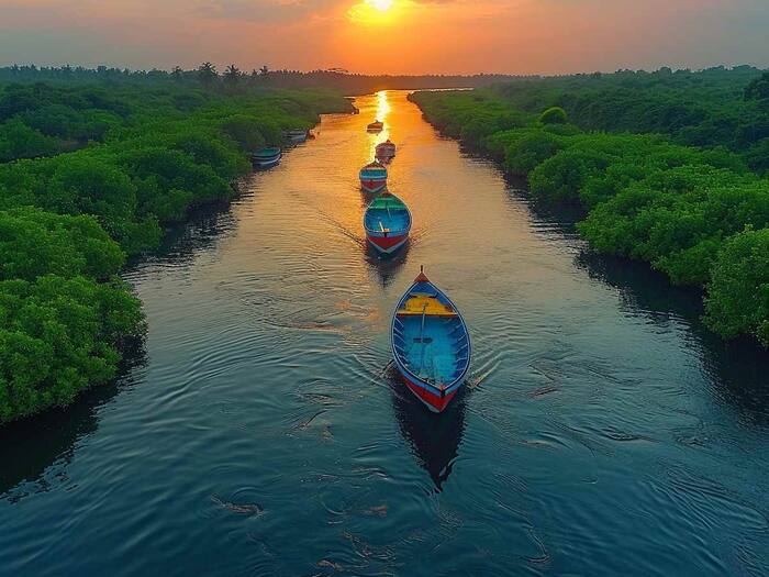 Top 5 Breathtaking Rivers In Kozhikode For Nature Lovers