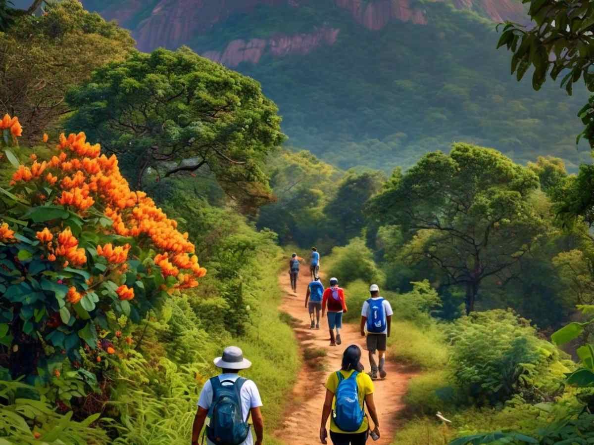 Top 7 Must Visit Trekking Destinations In Bengaluru For Adventure Seekers