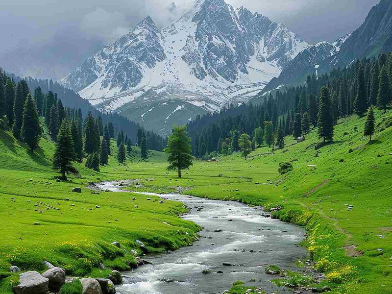 Explore The Hidden Gems Of Yusmarg: A Solo Travelers Paradise In Jammu ...