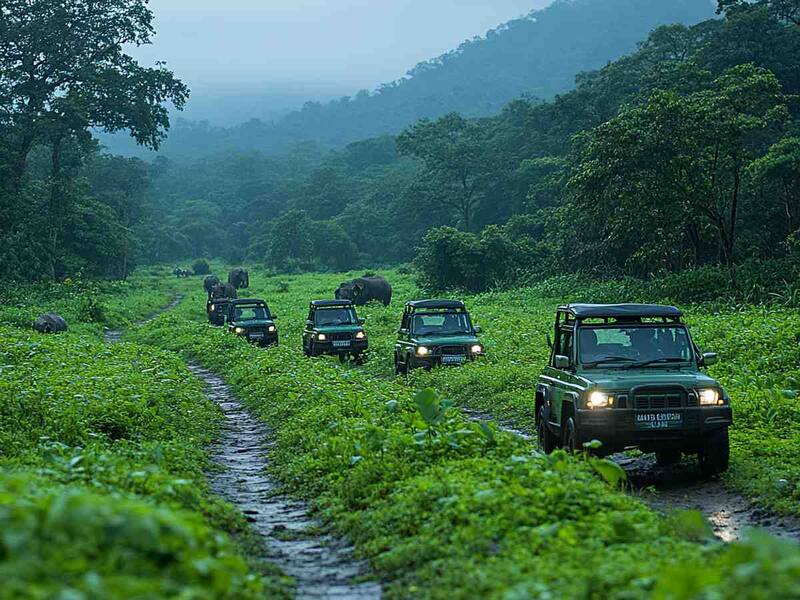 Experience The Magic Of Wayanad: A Blissful Retreat In Keralas Lush ...