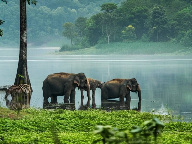 Discover The Top Photogenic Spots In Kerala Every Photographer Must See!