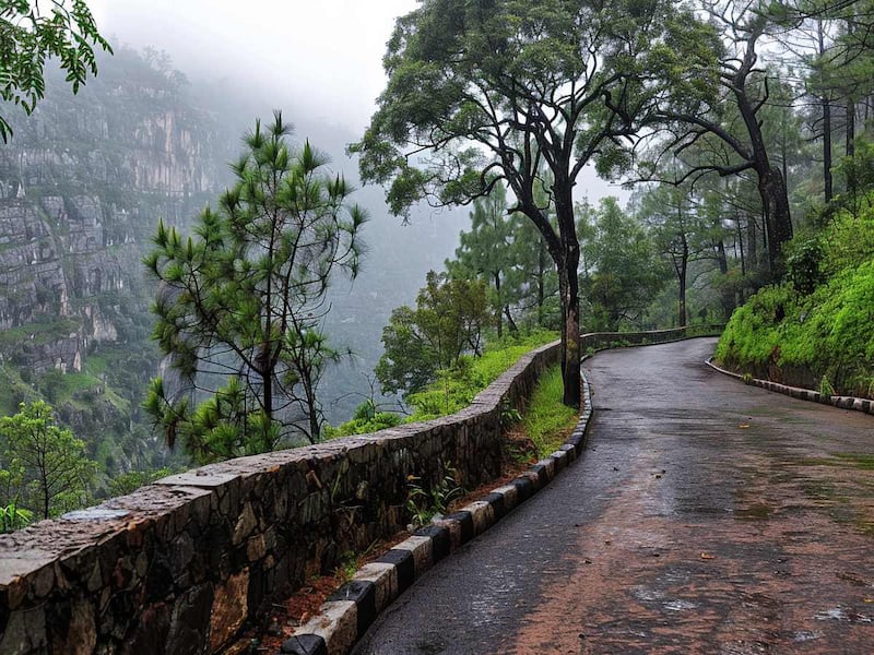 Yercauds Road Trip Routes For Breathtaking Views