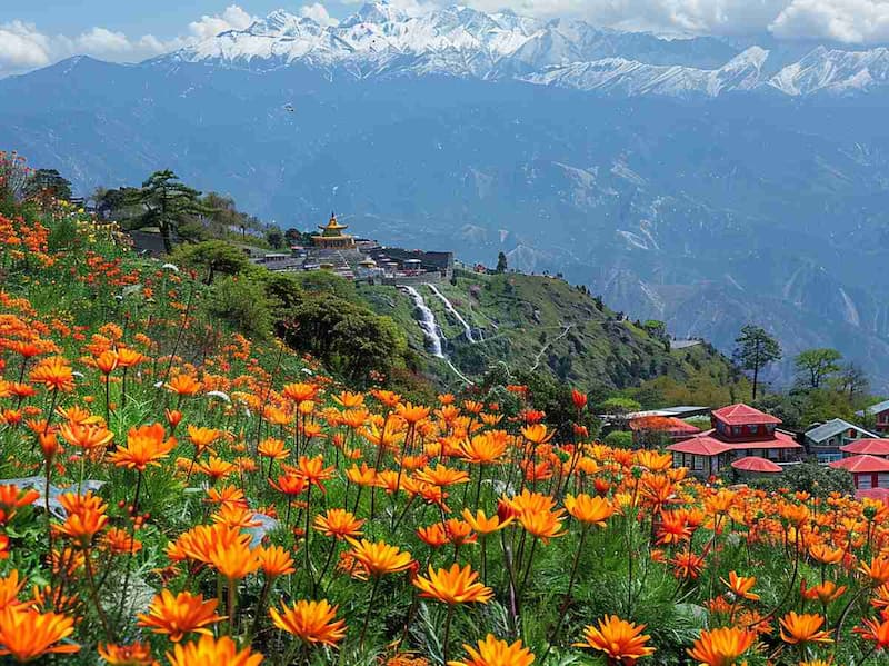 Beauty Of Dharamshala: Your Ultimate Guide To Experiencing The Magic Of ...
