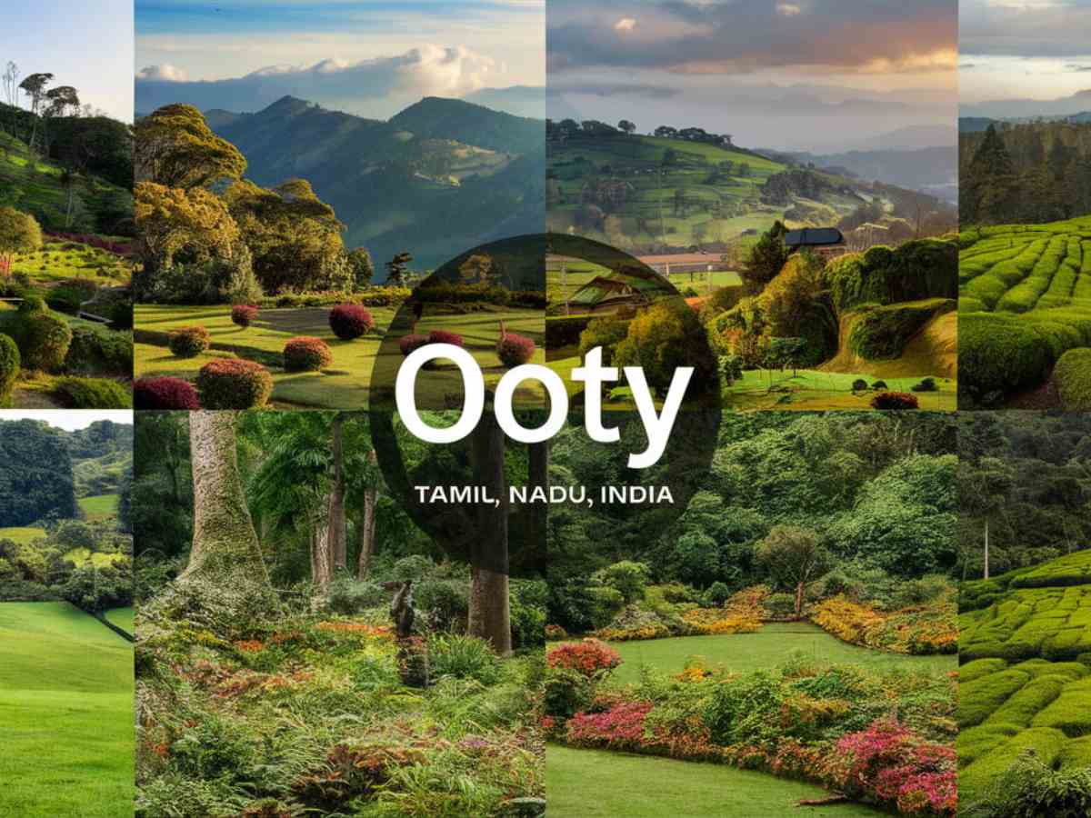Discover The Charm Of Ooty: Queen Of Hill Stations In Tamil Nadu