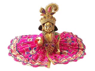 Laddu Gopal News in Hindi, Latest Laddu Gopal News | India.Com News