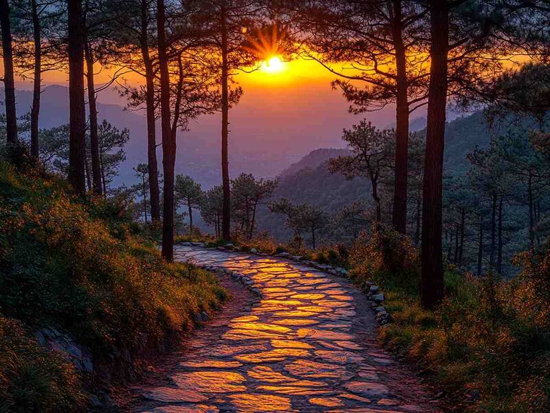 Lens-Worthy Locations: Explore The Beauty Of Kasauli Through Photography