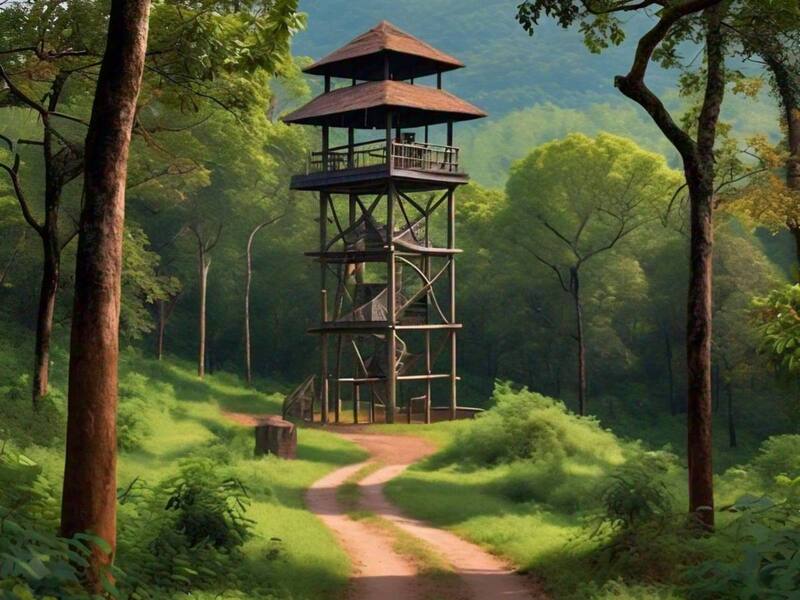 Dive Into Rich History With These Must See Ancient Ruins In Valparai Of ...